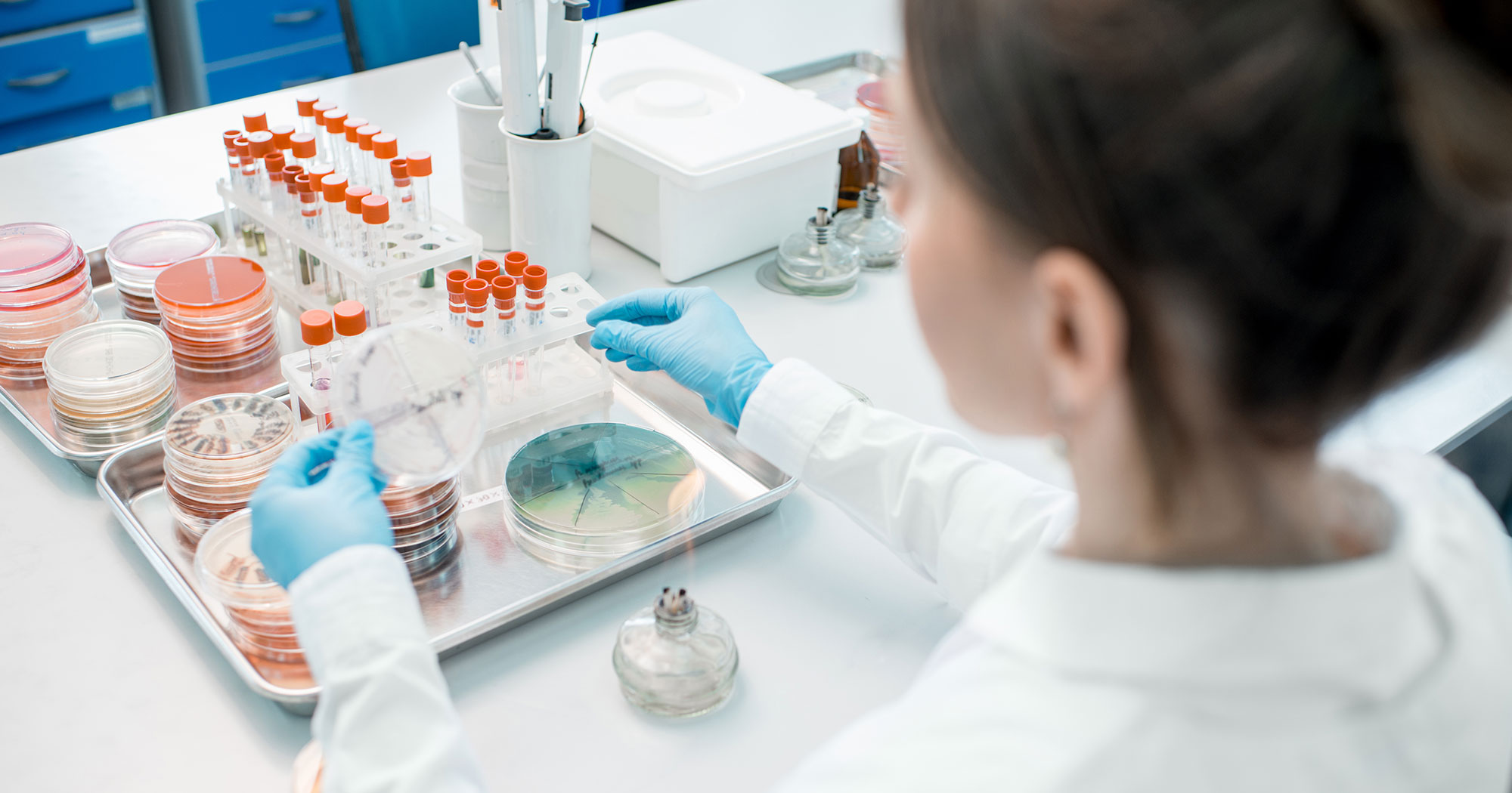 Services for Patients - CorePlus