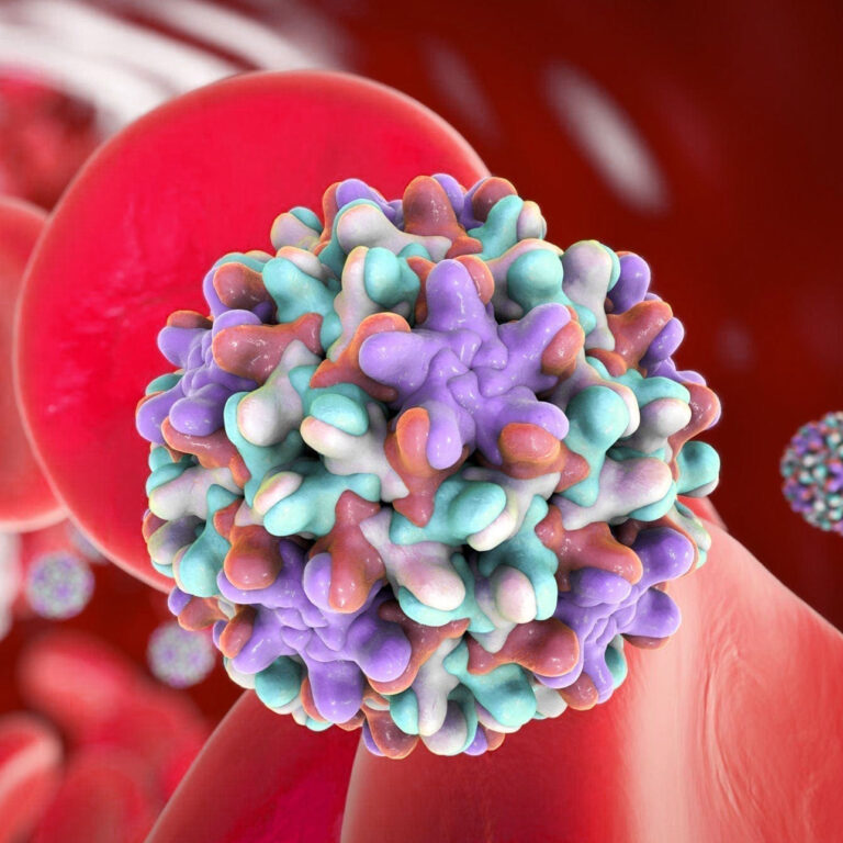 Hepatitis B Titers - CorePlus